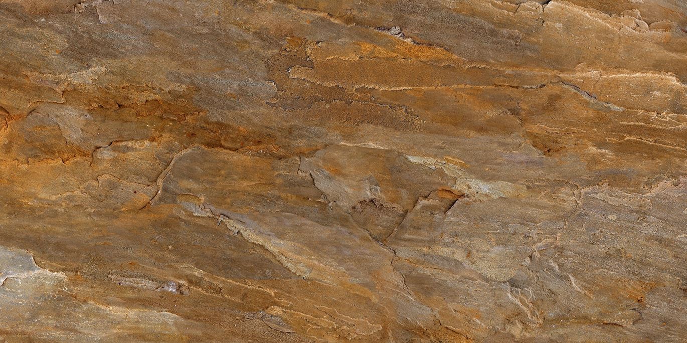 Azario Barberystone Brown - Płytka Uniwersalna 60x120 - Domni.pl