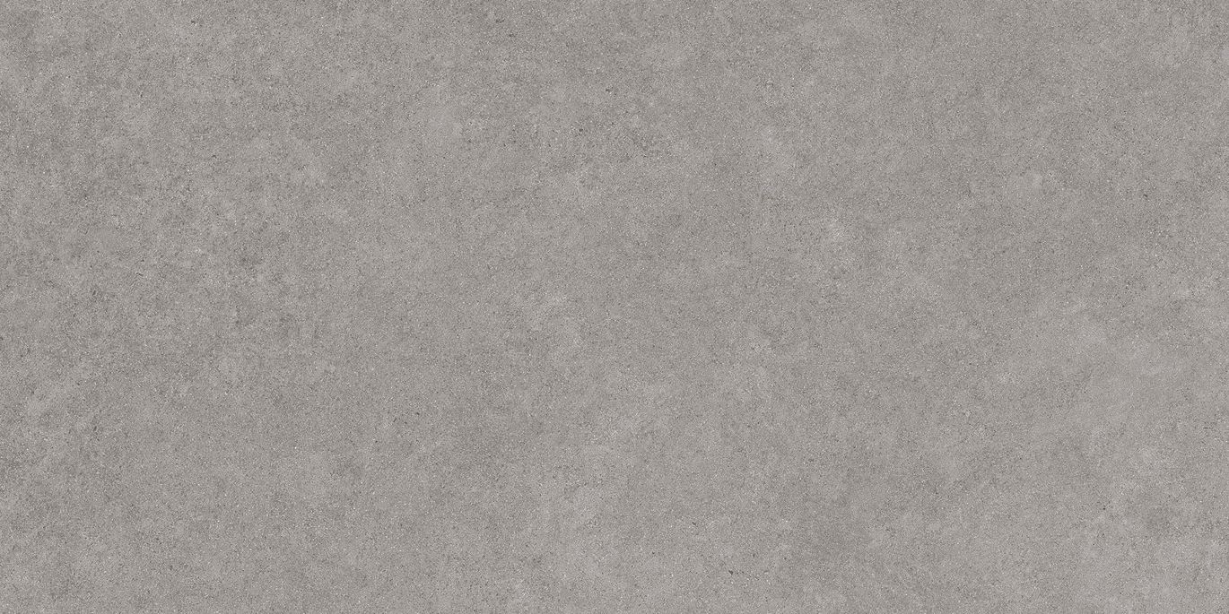 Azario Rex Grey - Płytka Uniwersalna 60x120 - Domni.pl