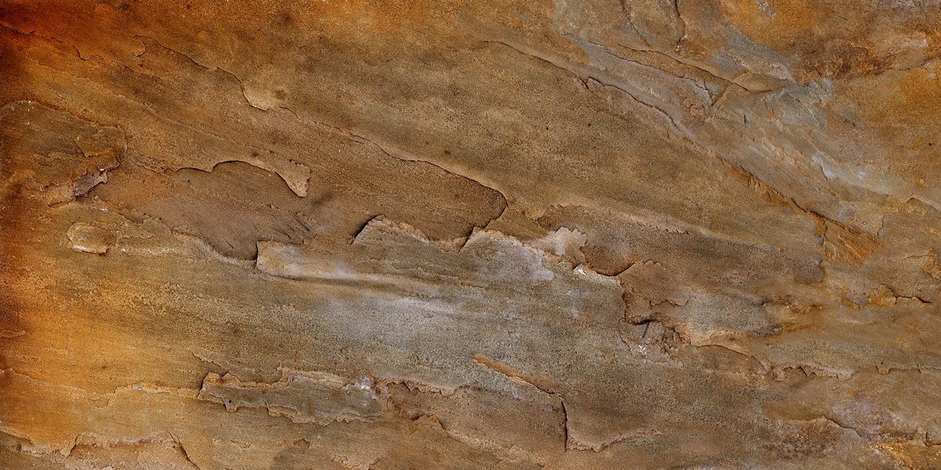 Azario Barberystone Brown - Płytka Uniwersalna 60x120 - Domni.pl