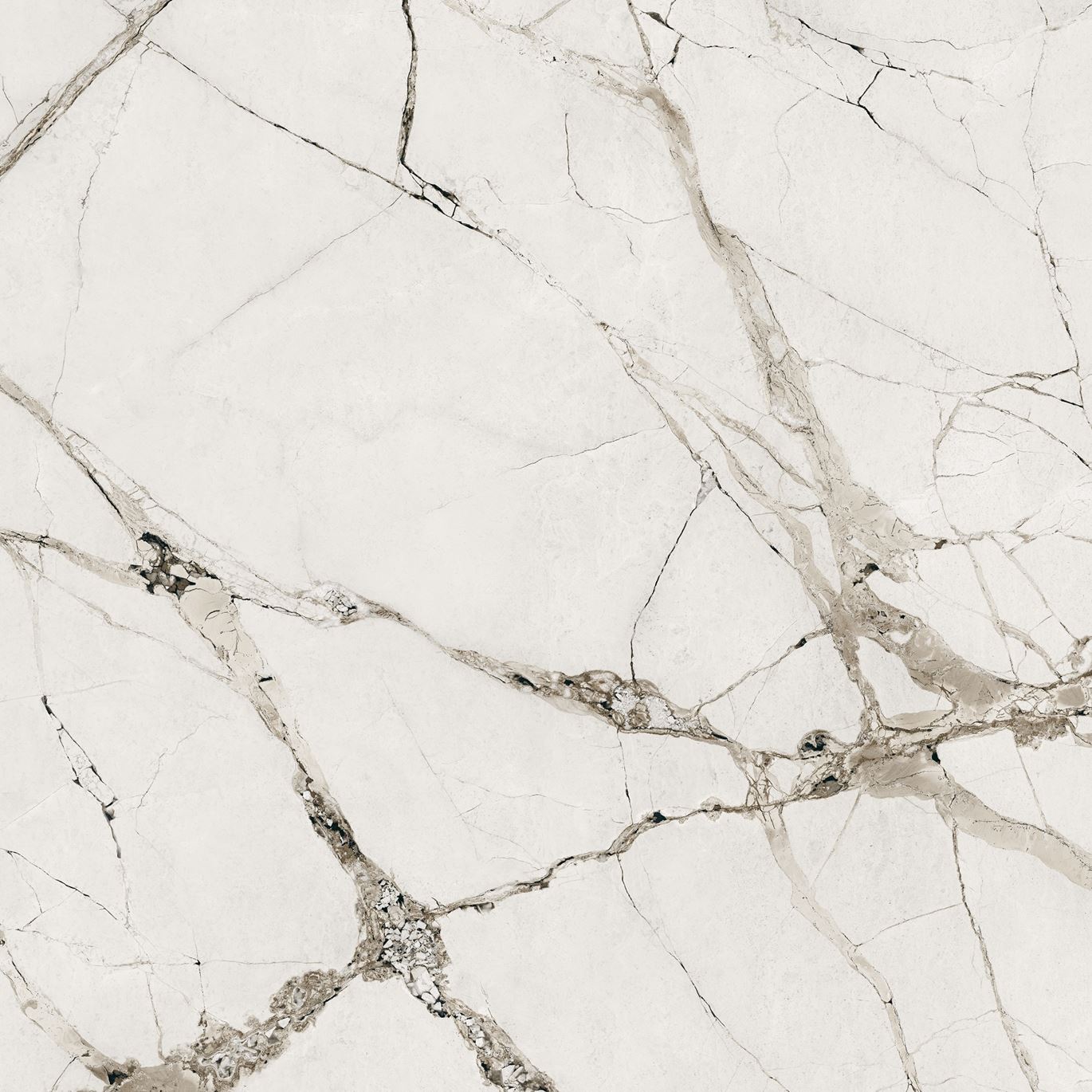 Cerrad Ovation Light Grey - Płytka 120x120 - Domni.pl