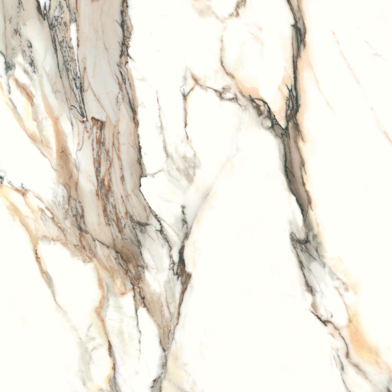 Płytka Uniwersalna 120x120 - Cerrad Calacatta Gold Mat - Domni.pl