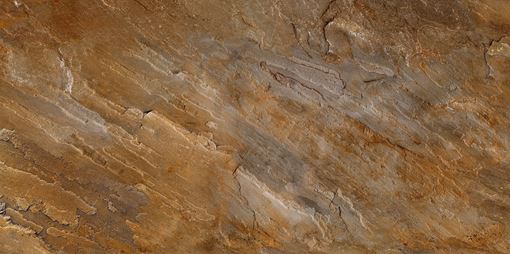 Azario Barberystone Brown - Płytka Uniwersalna 60x120 - Domni.pl